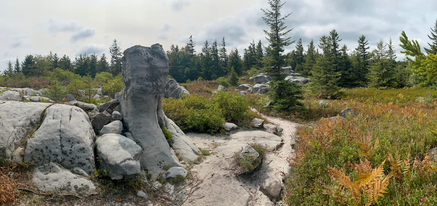 Dolly Sods Wilderness