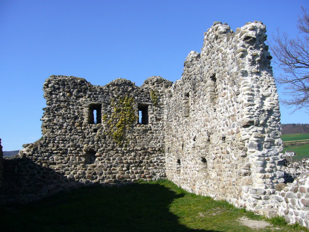 Ruine Helfenberg