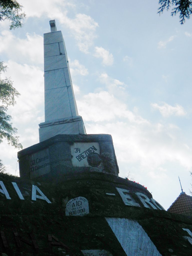 Calinesti - Brezoi Forest