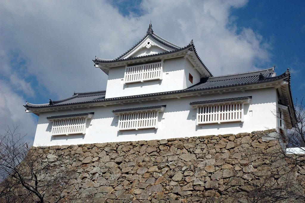 Tsuyama Castle Ruins