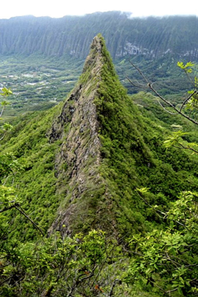 Honolulu County Mountains