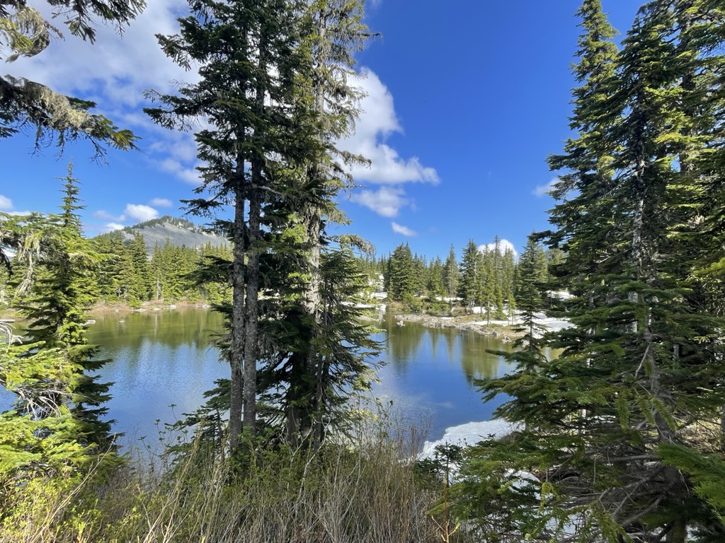Sir Richard's Pond