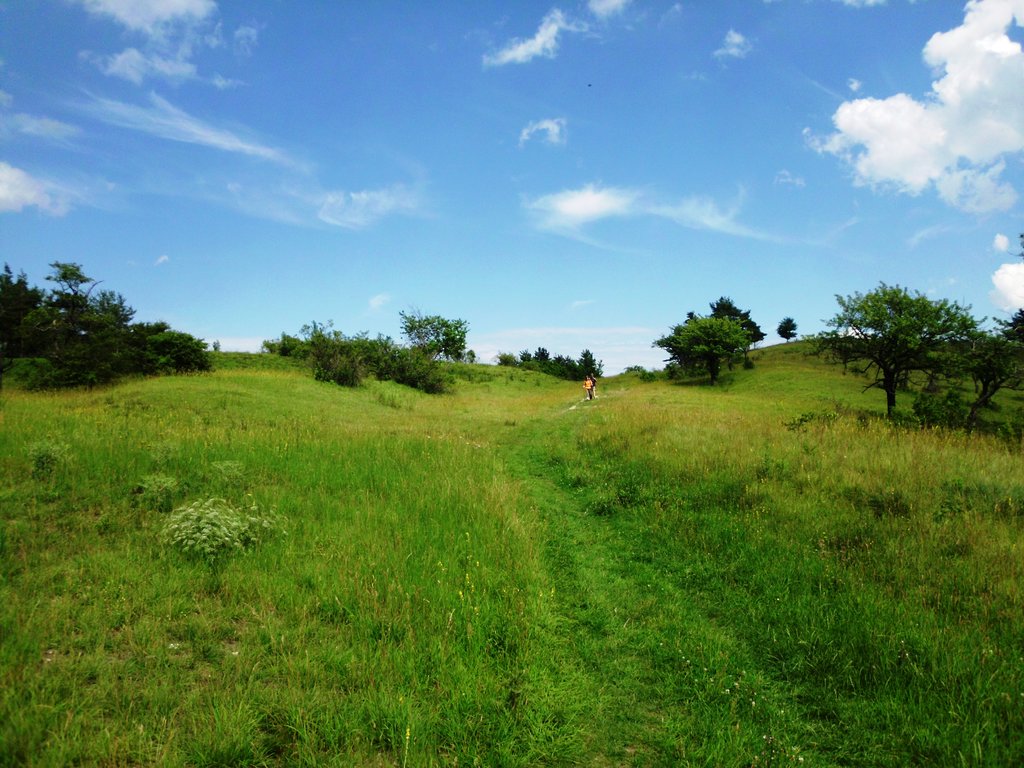 Naturschutzgebiet Ziegenberg