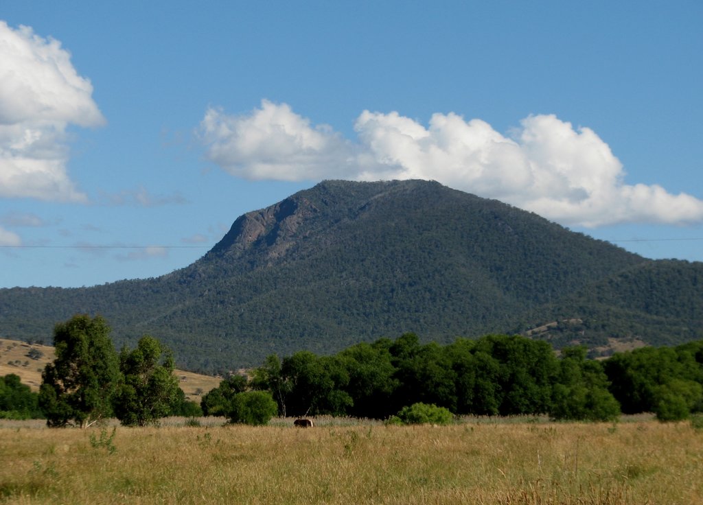 Marble Gully - Mount Tambo Nature Conservation Reserve