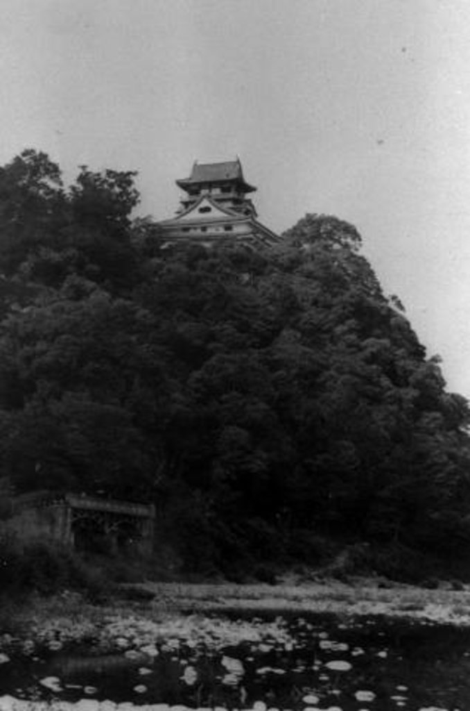 Inuyama Castle