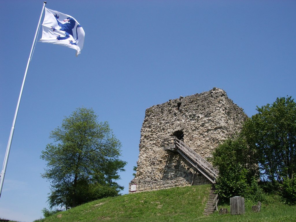Ruine Freienstein
