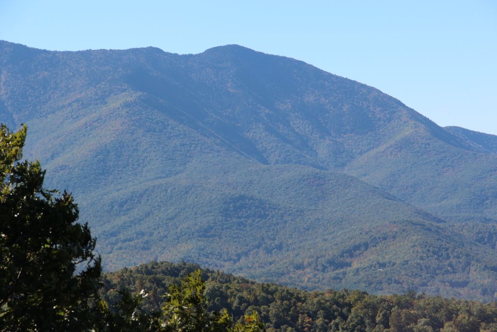 Celo Knob